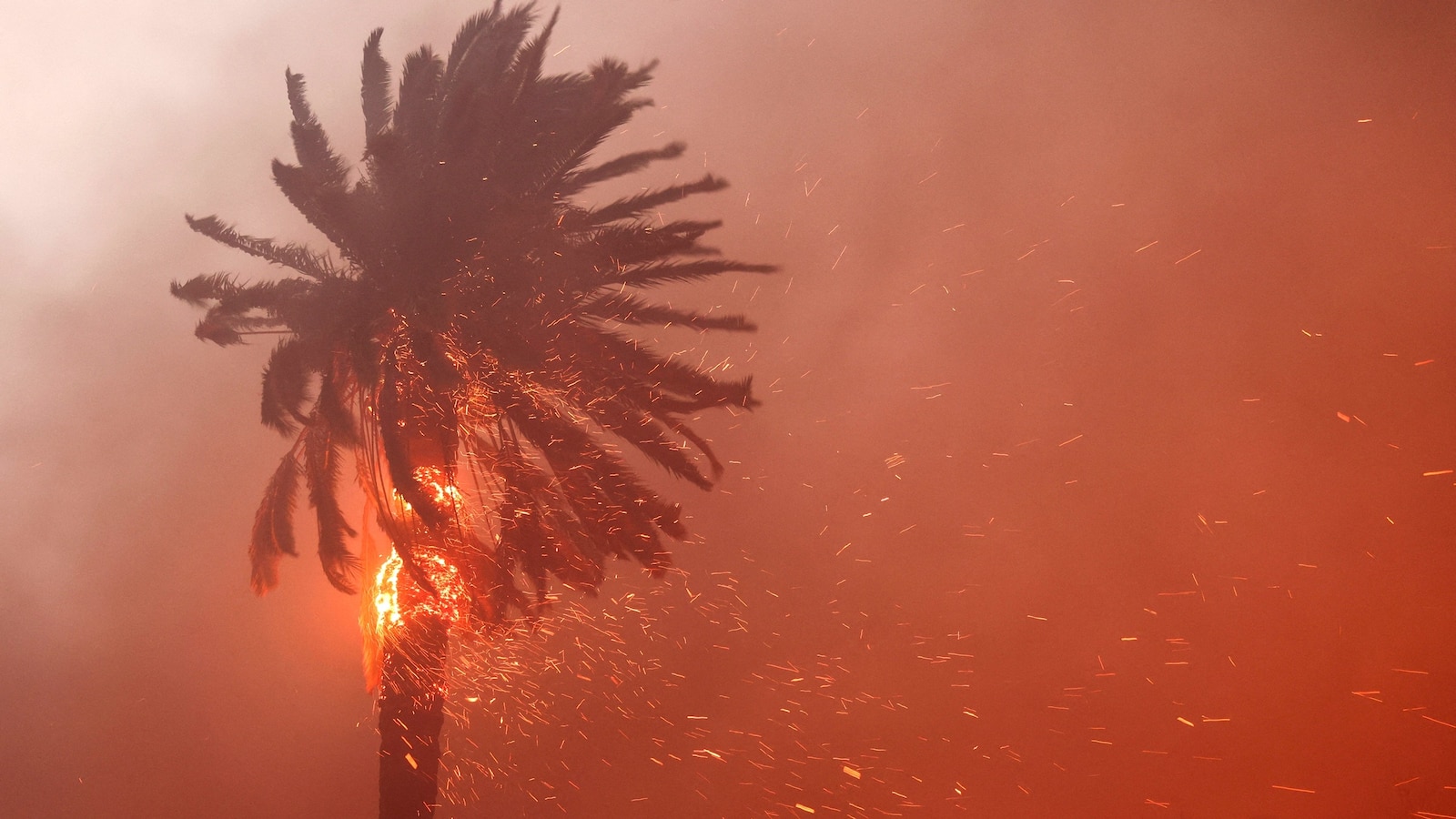 Unraveling the Inferno: A Comprehensive Timeline of the LA Wildfires Unraveling the Inferno: A Comprehensive Timeline of the LA Wildfires
